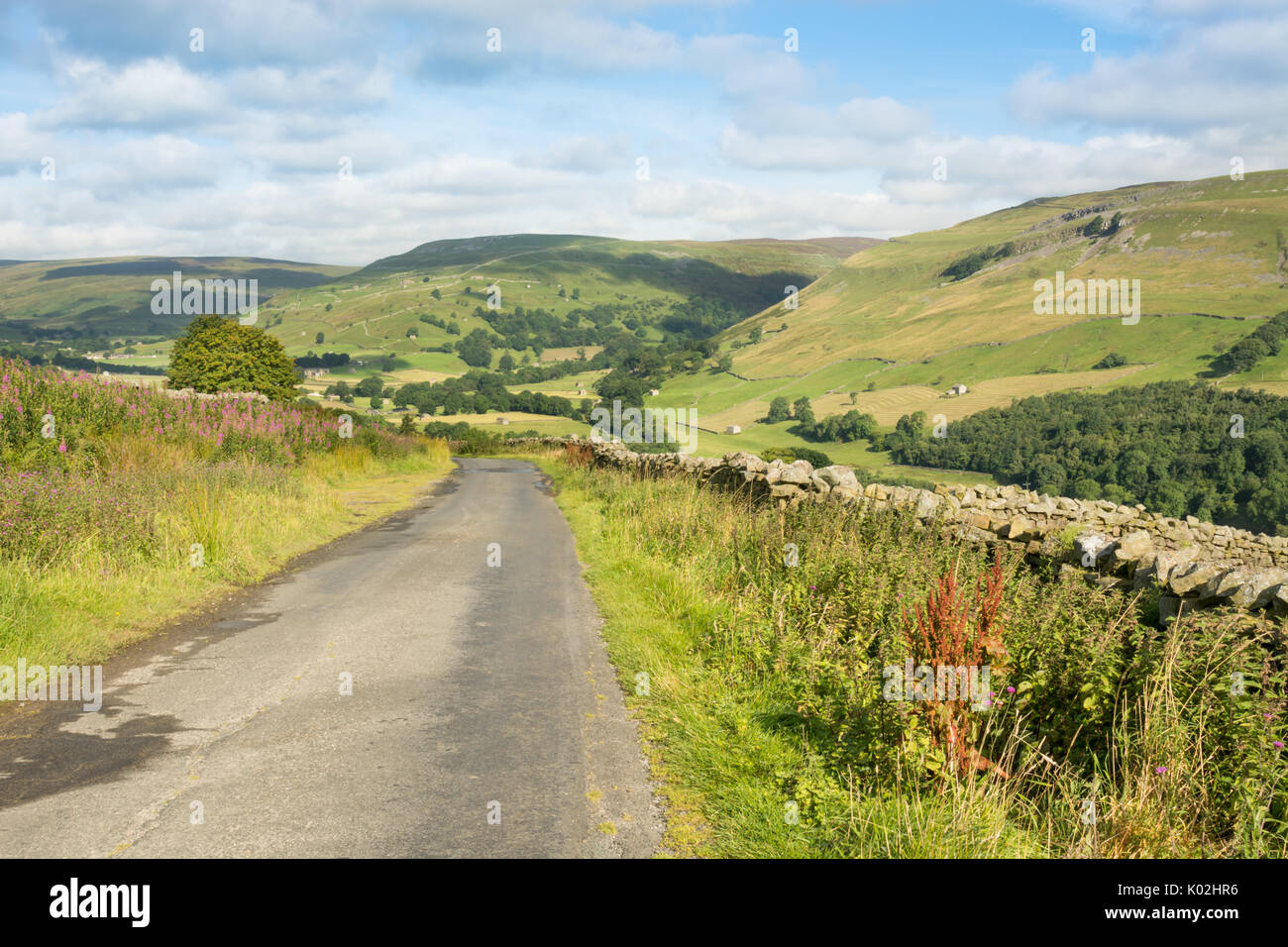 Road into Swaledale Stock Photo - Alamy