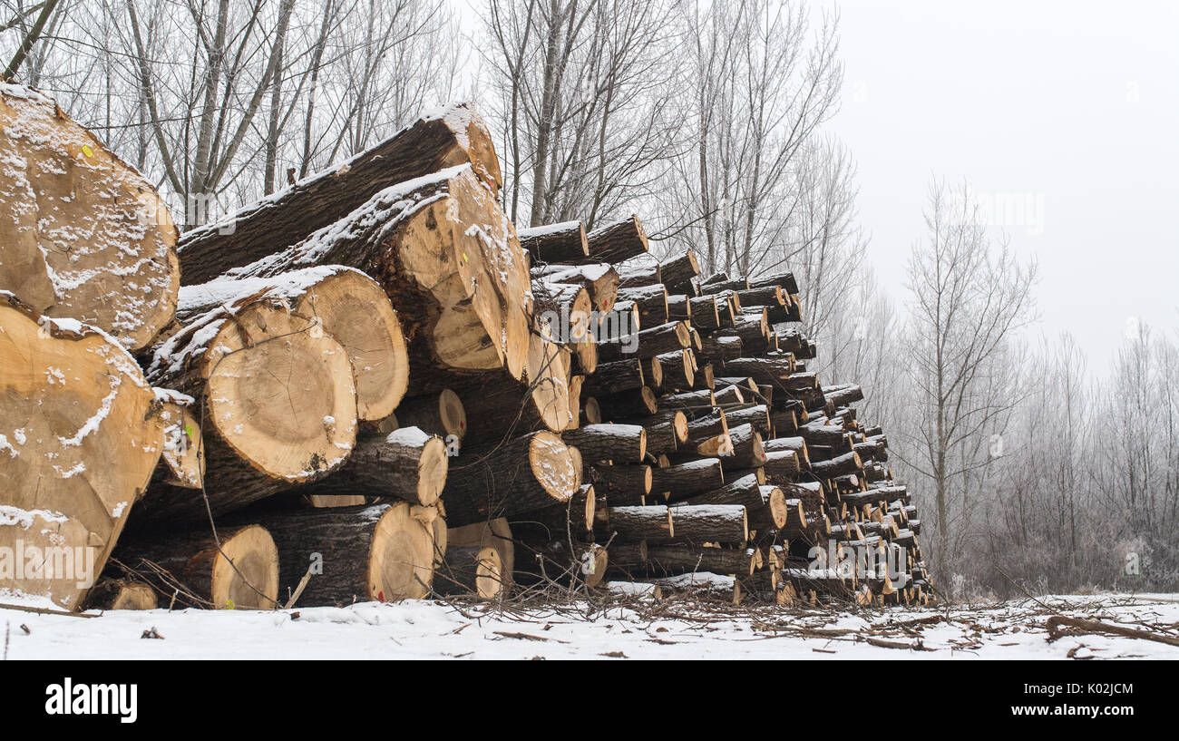 firewood in the winter area Stock Photo - Alamy