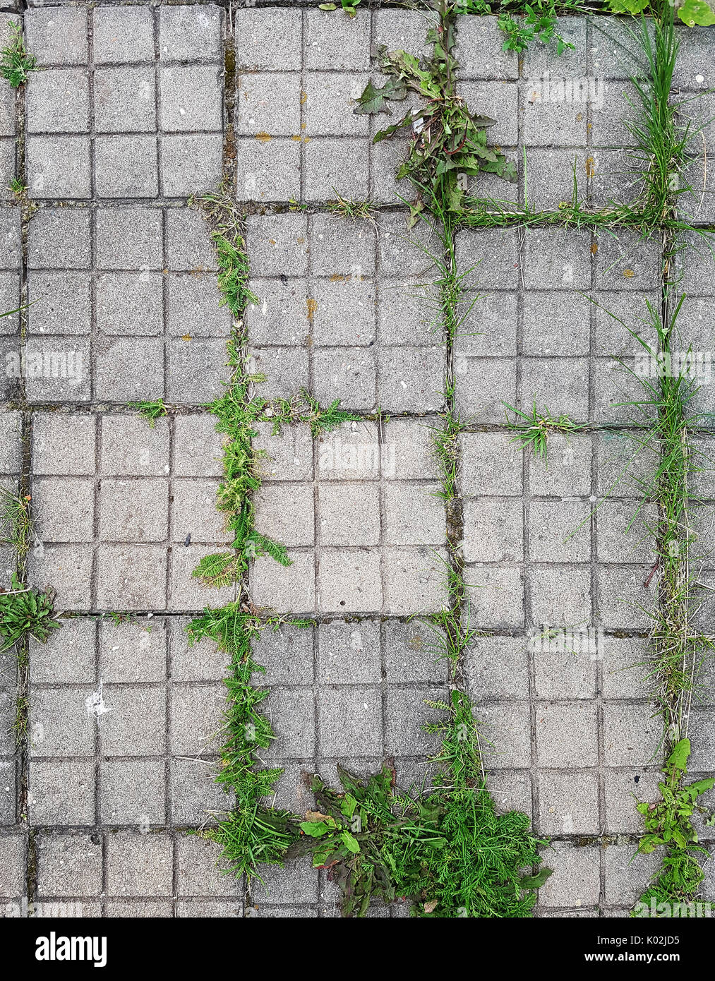 Gray tile with green grass Stock Photo - Alamy