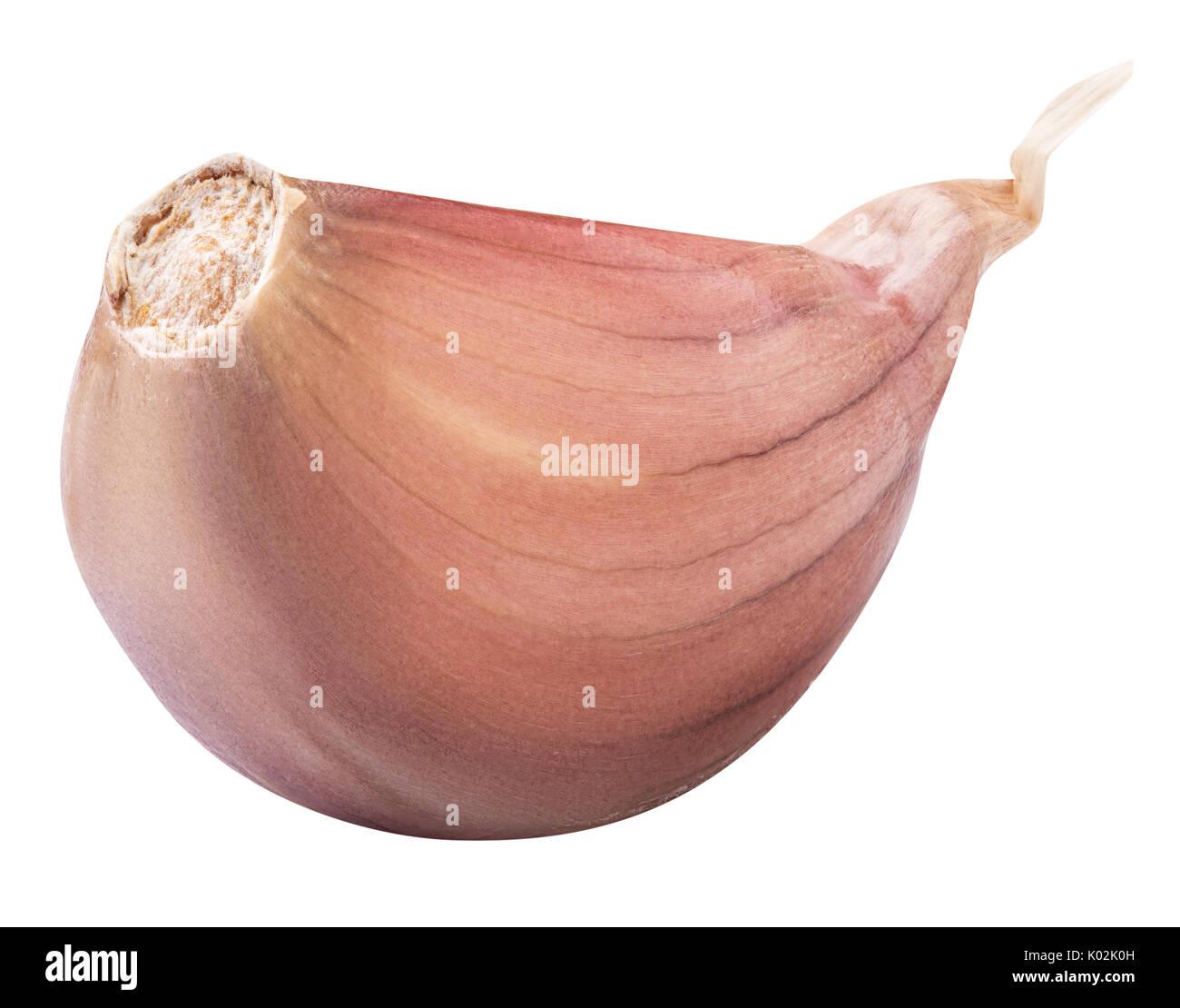 Whole fresh garlic isolated on white background with clipping path ...