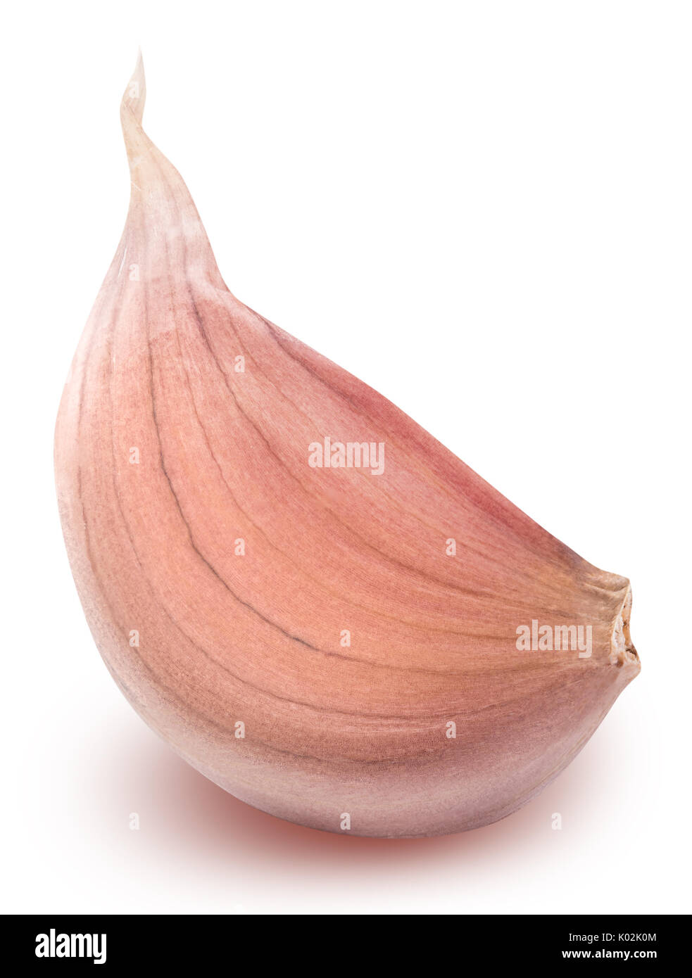 Whole fresh garlic isolated on white background with clipping path ...
