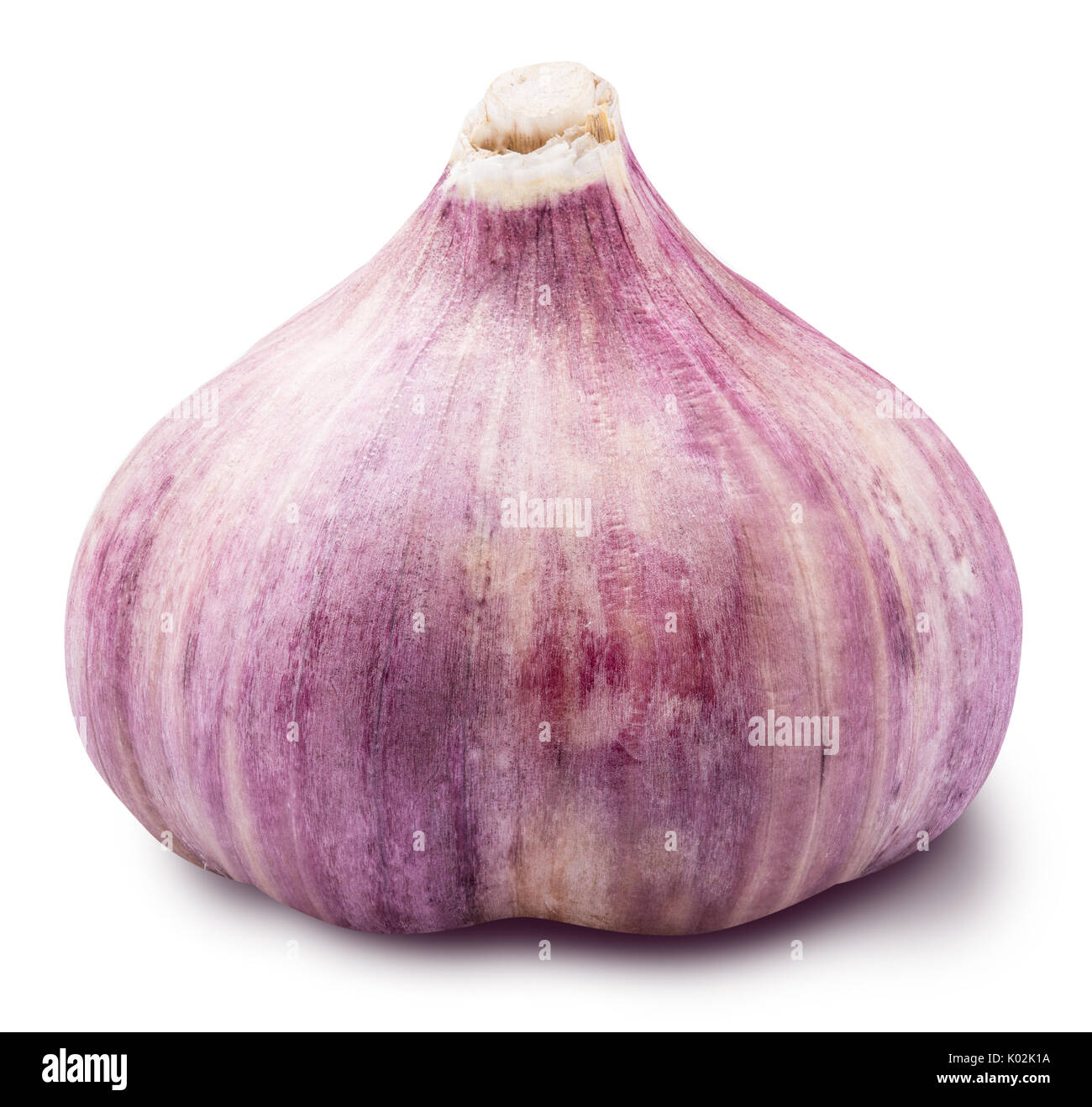 Whole fresh garlic isolated on white background with clipping path ...
