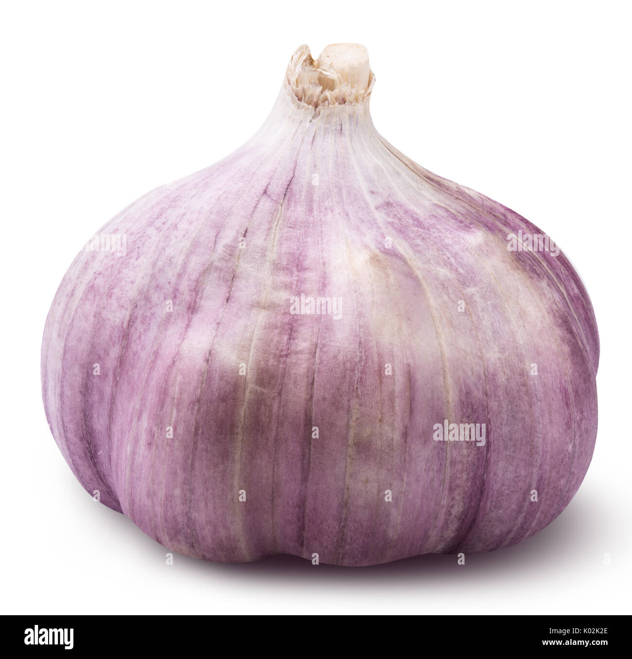 Whole fresh garlic isolated on white background with clipping path ...