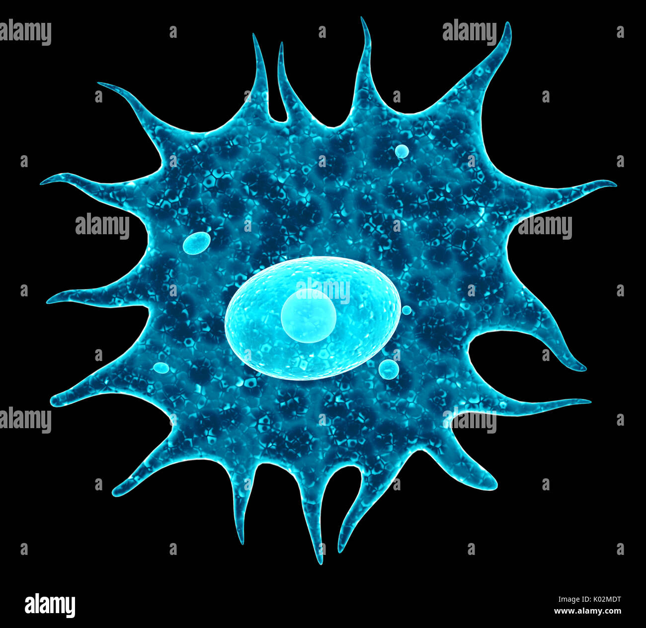 Amoeba. Isolated on black background. 3d render Stock Photo - Alamy