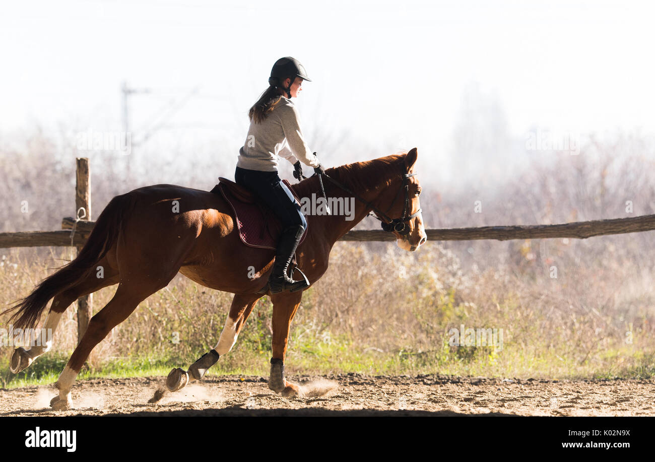Young pretty girl riding a horse Stock Photo - Alamy