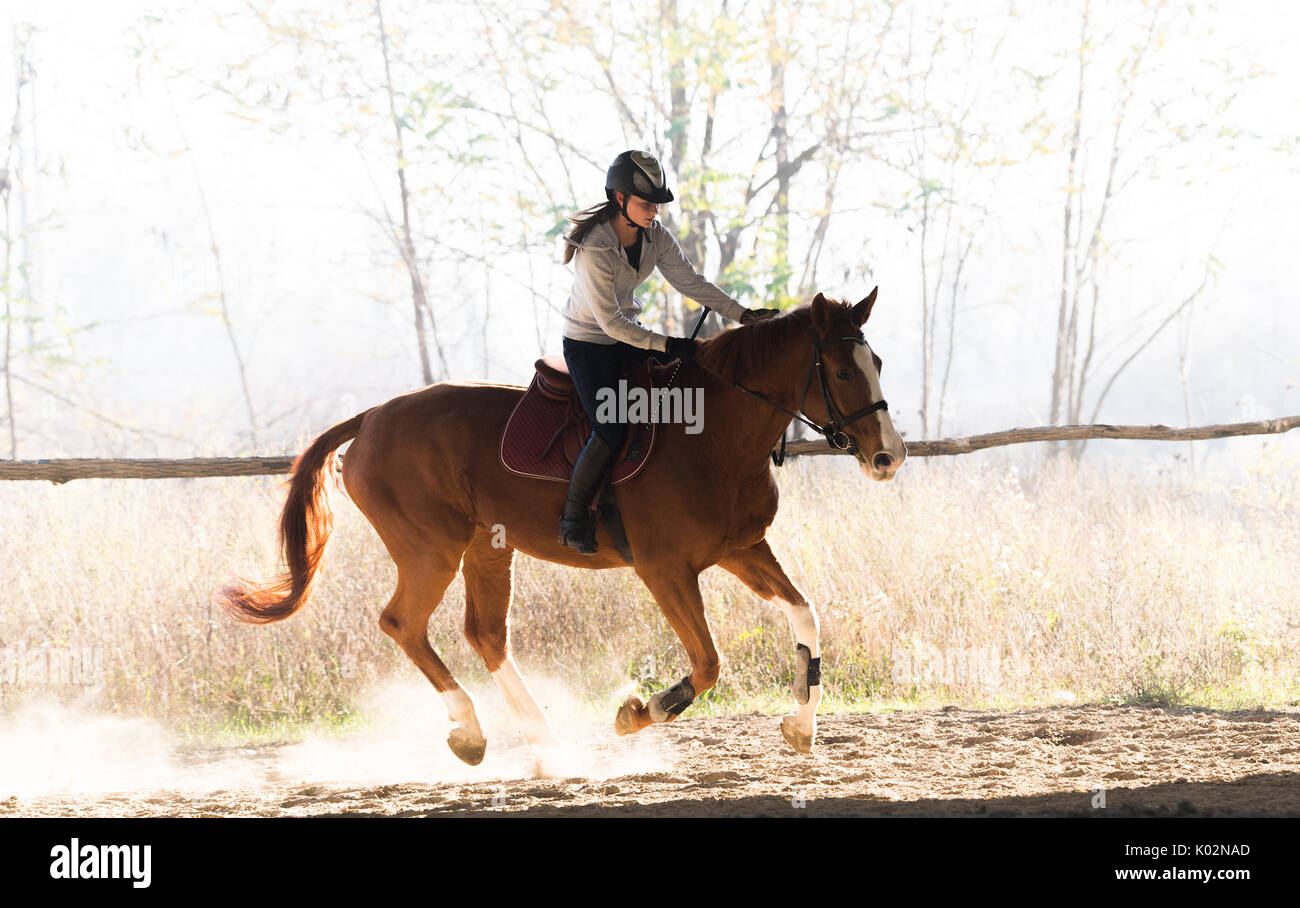 Young pretty girl riding a horse Stock Photo - Alamy