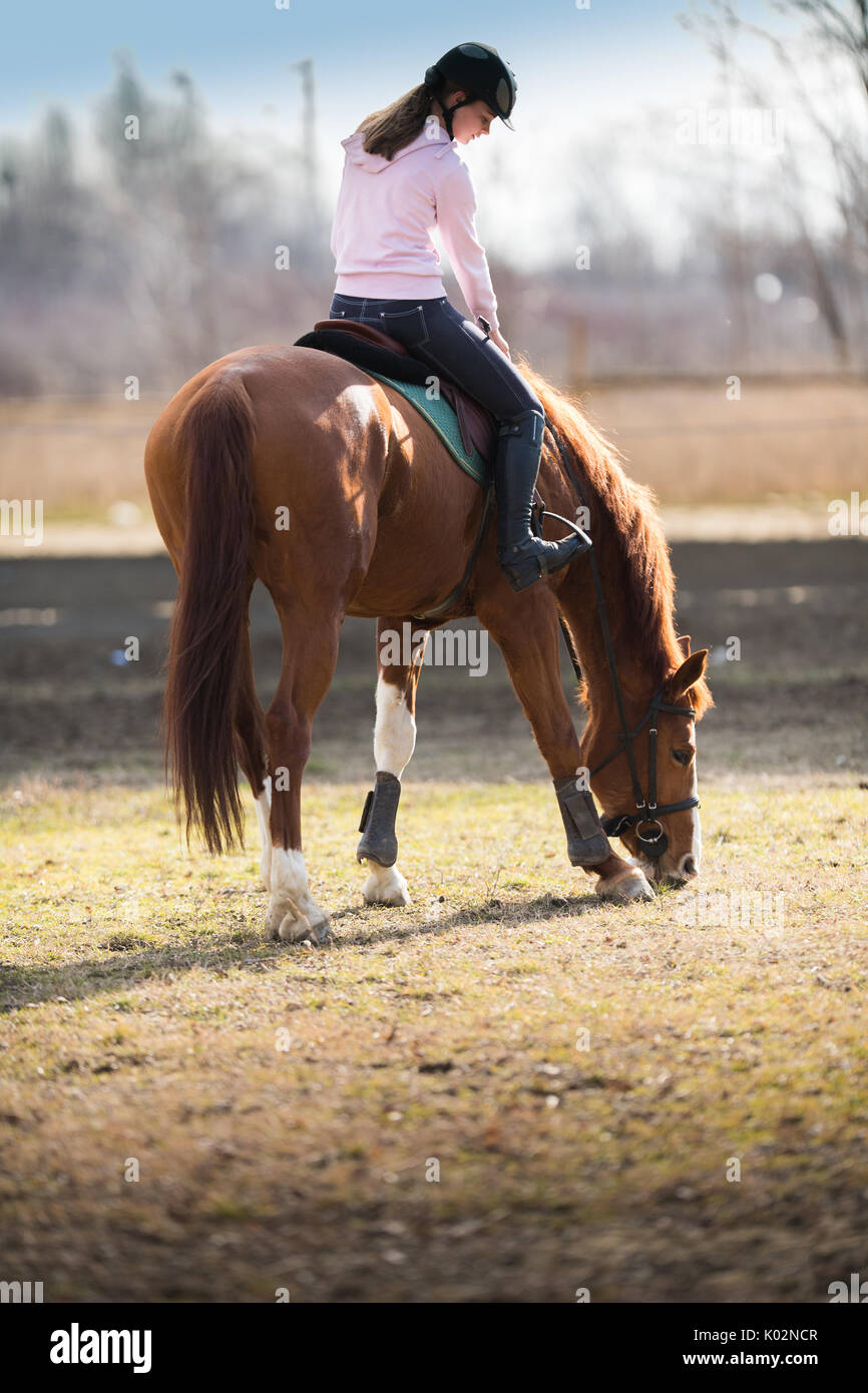 Young pretty girl riding a horse Stock Photo - Alamy