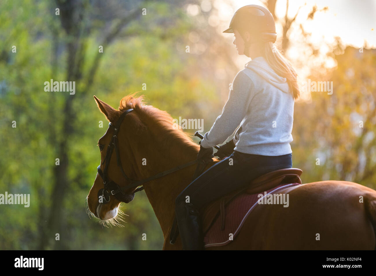 Young pretty girl riding a horse Stock Photo - Alamy
