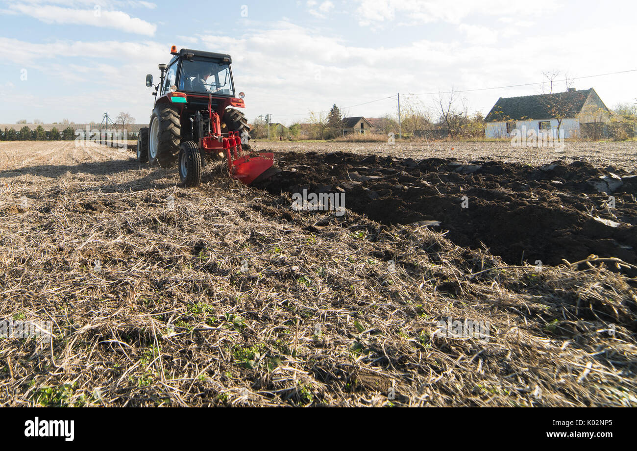 Tractor preparing land for sowings Stock Photo - Alamy