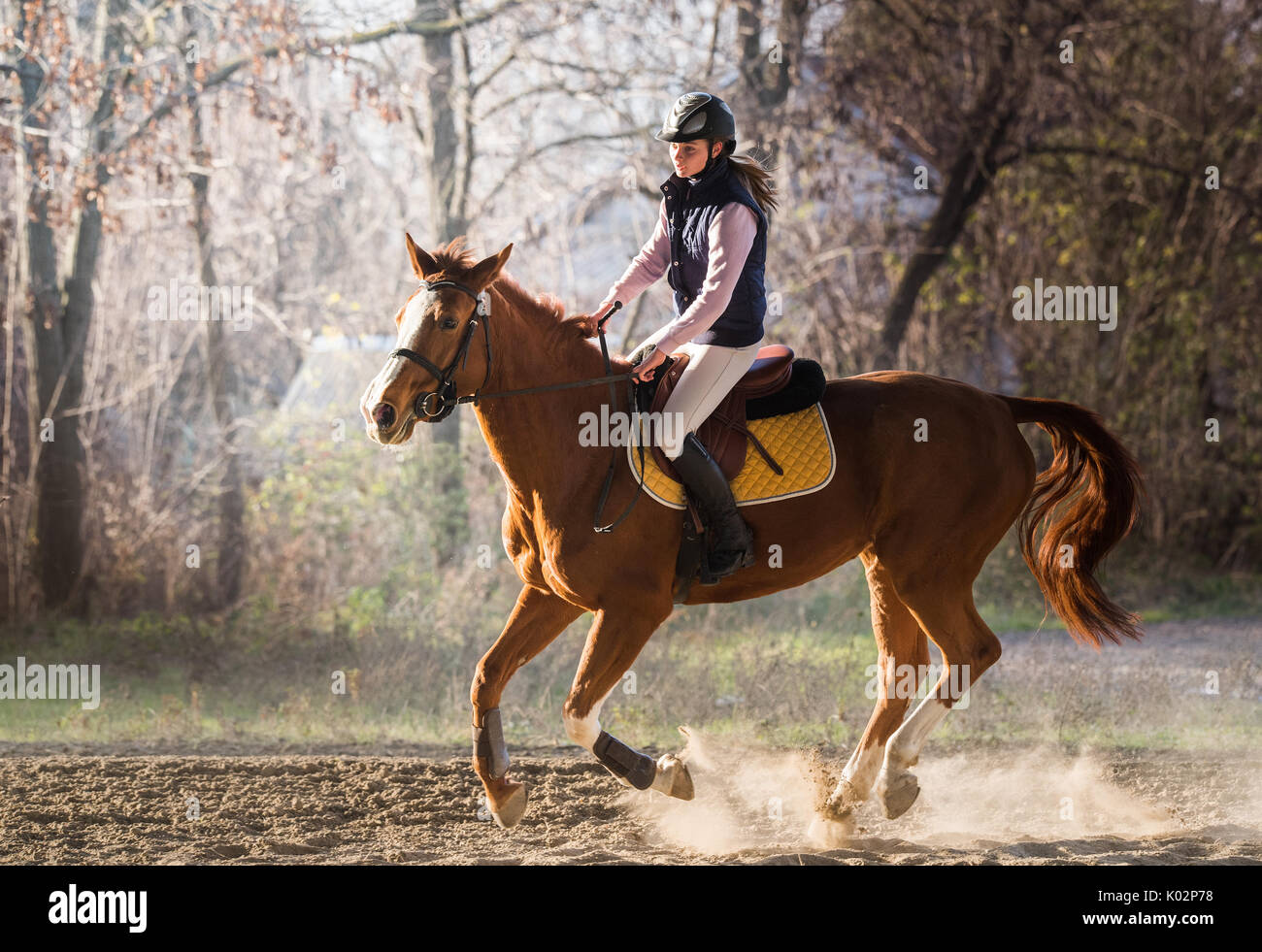 Young pretty girl riding a horse Stock Photo - Alamy