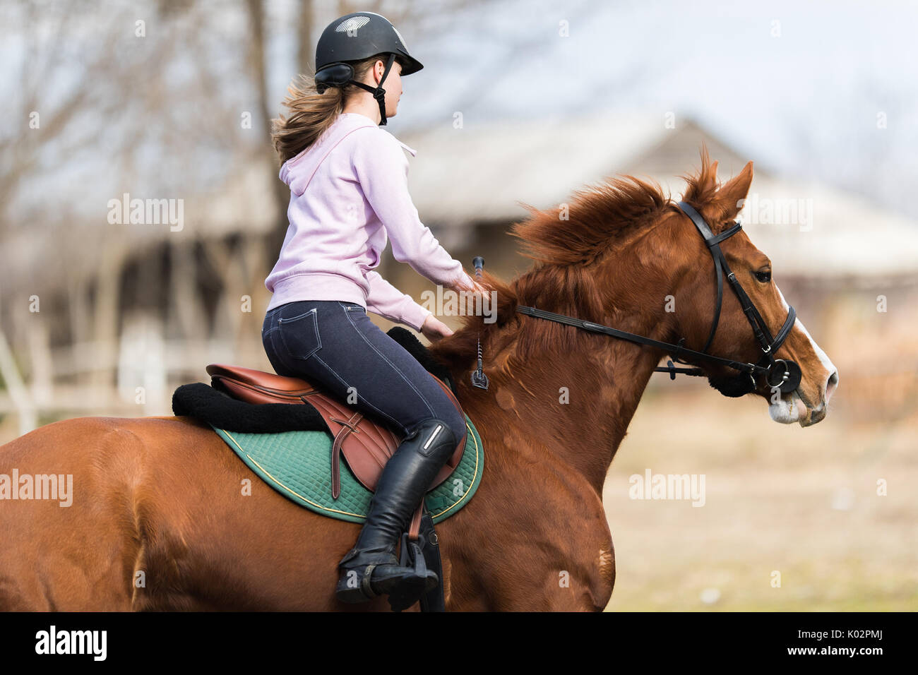 Young pretty girl riding a horse Stock Photo - Alamy