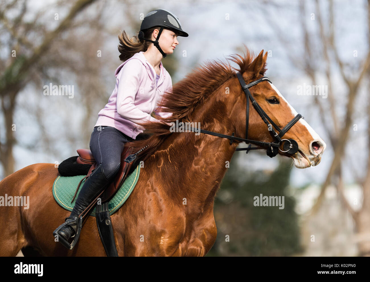 Young pretty girl riding a horse Stock Photo - Alamy