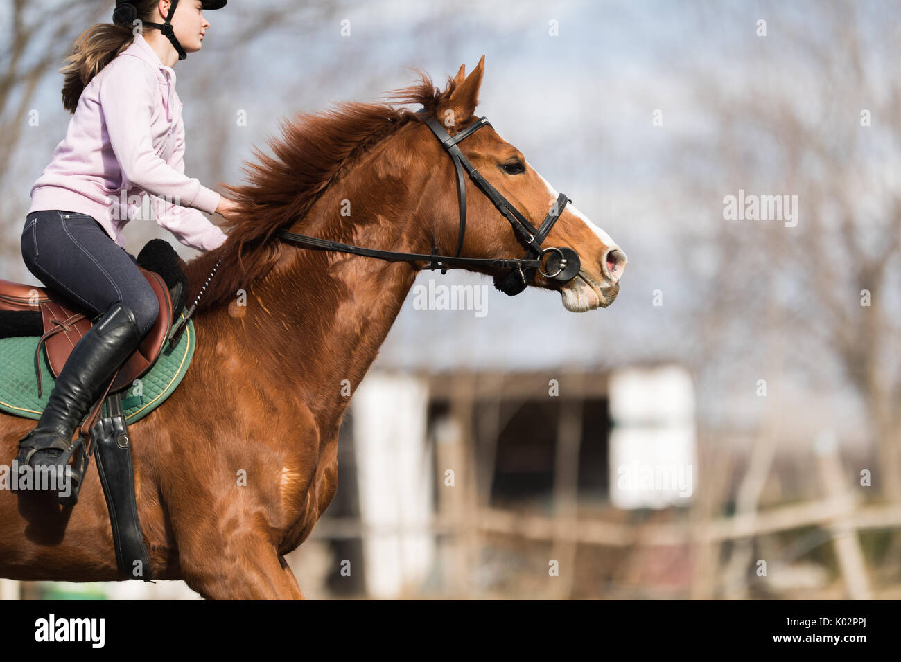 Young pretty girl riding a horse Stock Photo - Alamy