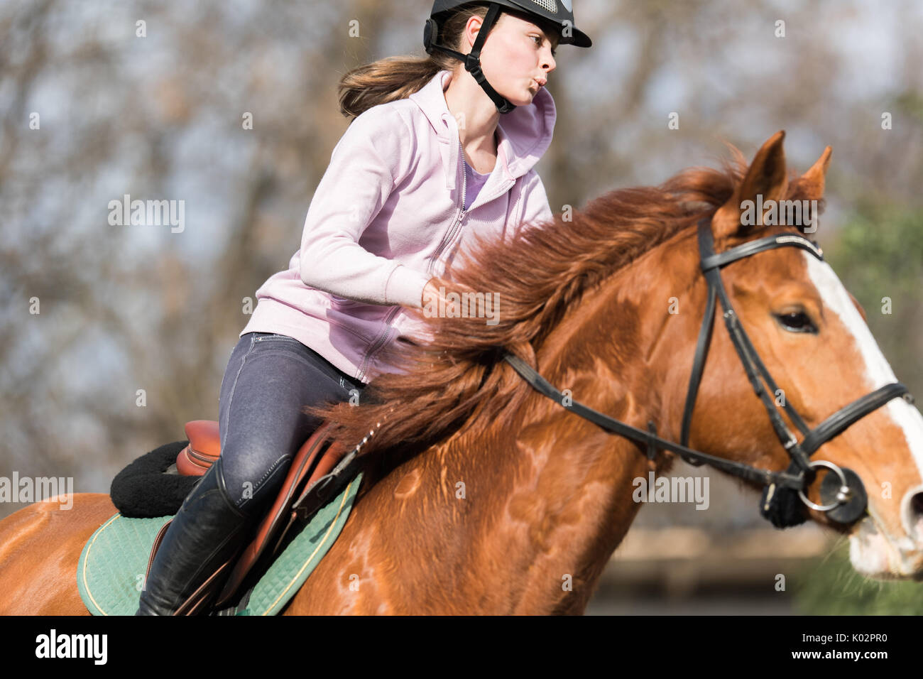 Young pretty girl riding a horse Stock Photo - Alamy