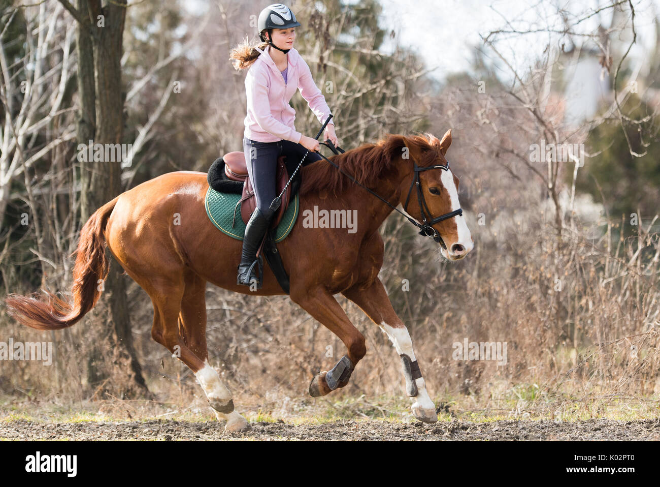 Young pretty girl riding a horse Stock Photo - Alamy