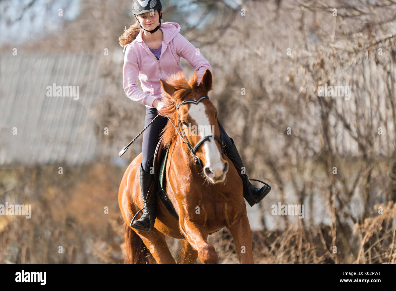 Young pretty girl riding a horse Stock Photo - Alamy