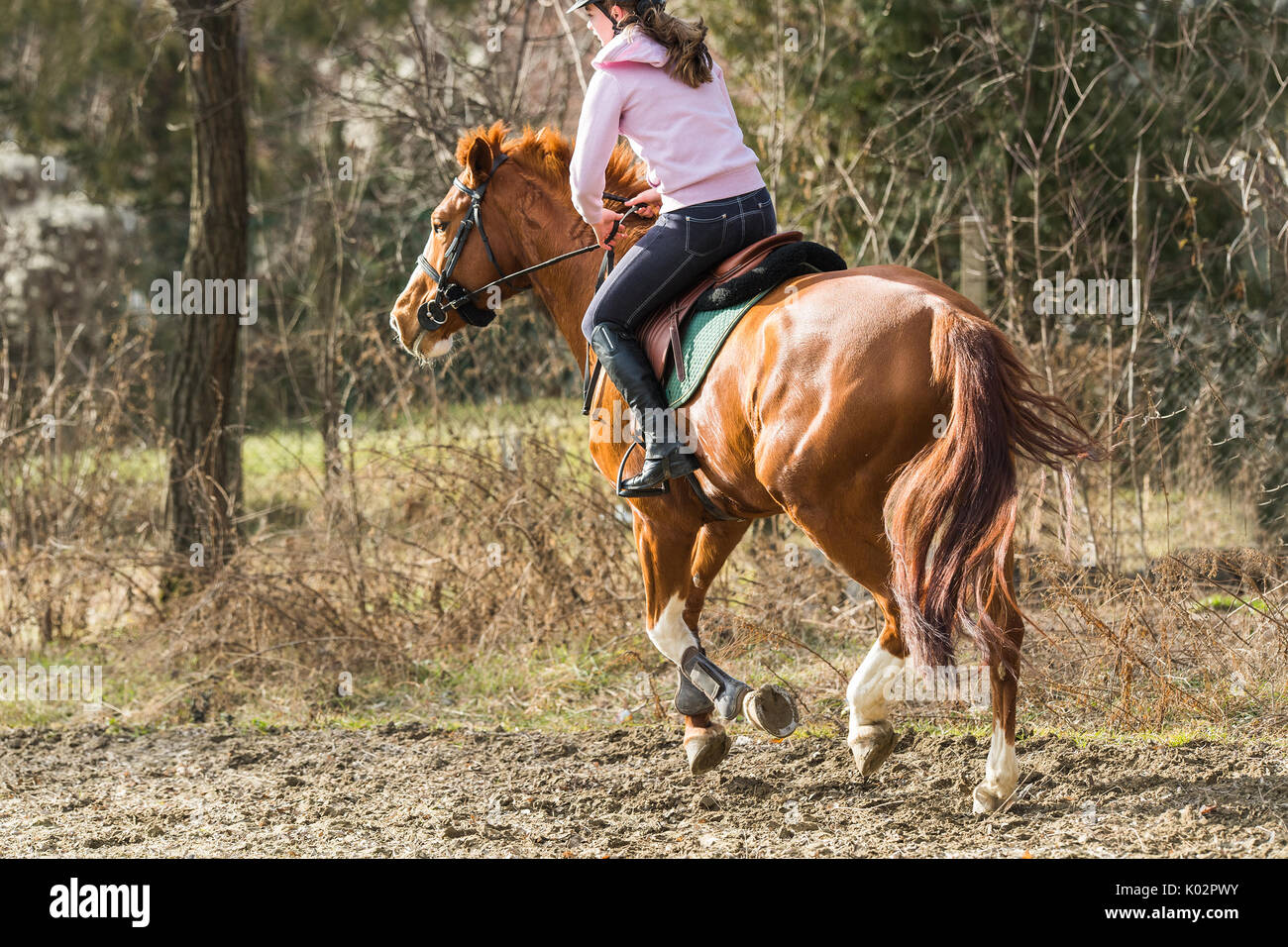 Young pretty girl riding a horse Stock Photo - Alamy