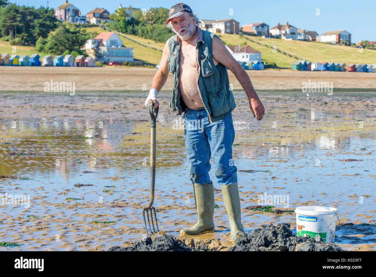 Bait digging beach hi-res stock photography and images - Alamy
