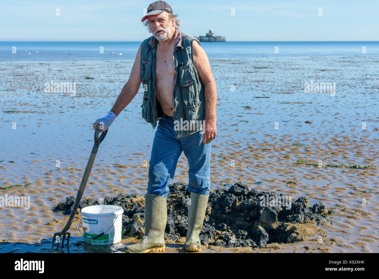 Fisherman digging for lug worms to use for fishing bait on the beach at ...