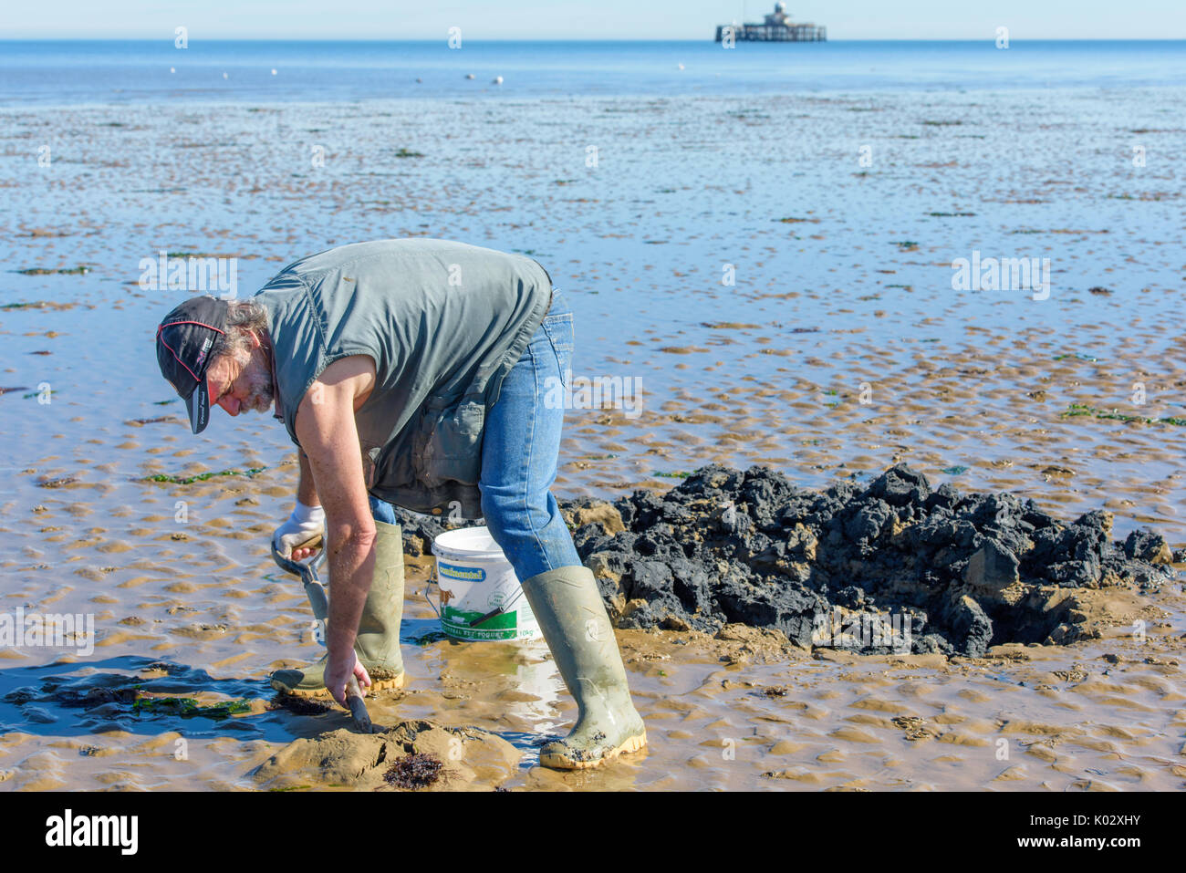 Bait Digging Beach High Resolution Stock Photography and Images - Alamy