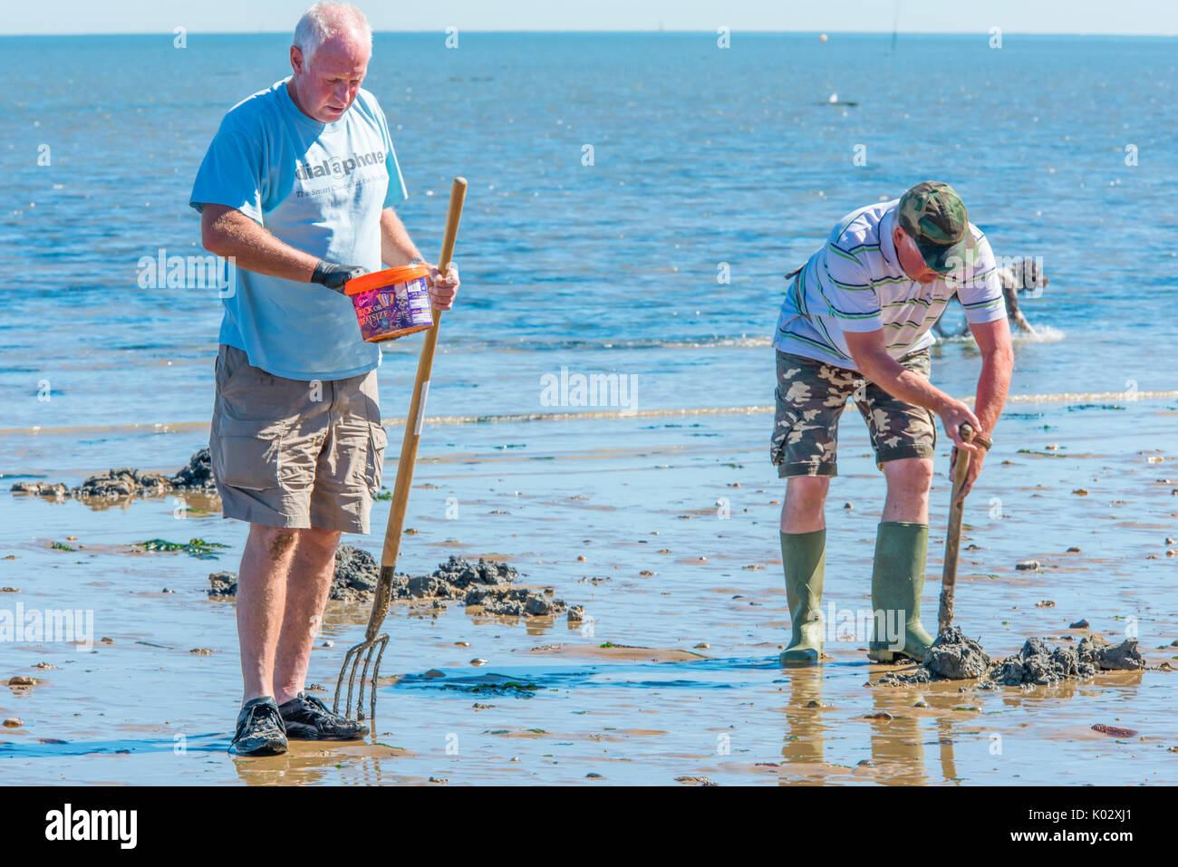 Bait Digging High Resolution Stock Photography and Images - Alamy