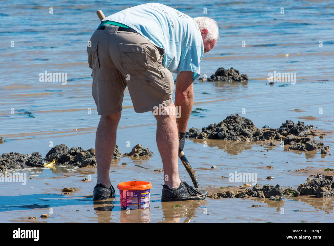 Digging for lugworm hi-res stock photography and images - Alamy