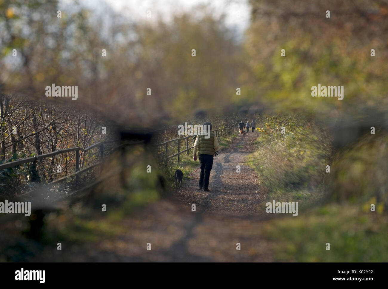 Pathway through the countryside hi-res stock photography and images - Alamy