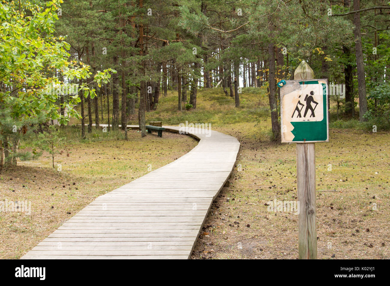 Foot path in pine hi-res stock photography and images - Alamy