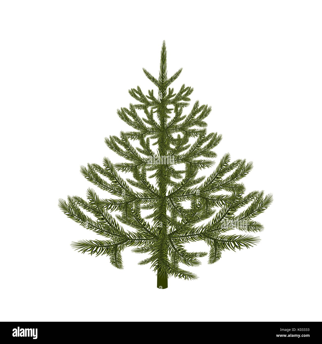 The forest is magnificent Cut Out Stock Images & Pictures - Alamy