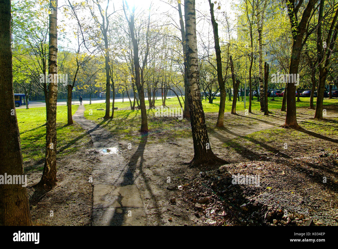 the shadow of the trees on the pavement, Moscow Stock Photo - Alamy
