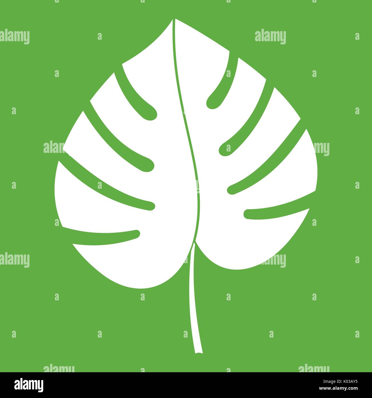 Monstera plant detail Stock Vector Images - Alamy
