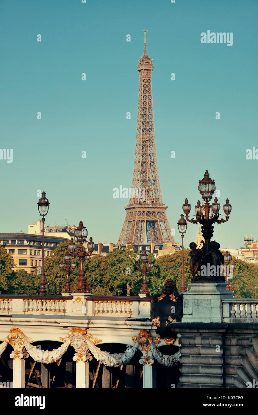 Alexandre III bridge and Eiffel Tower in Paris, France Stock Photo - Alamy