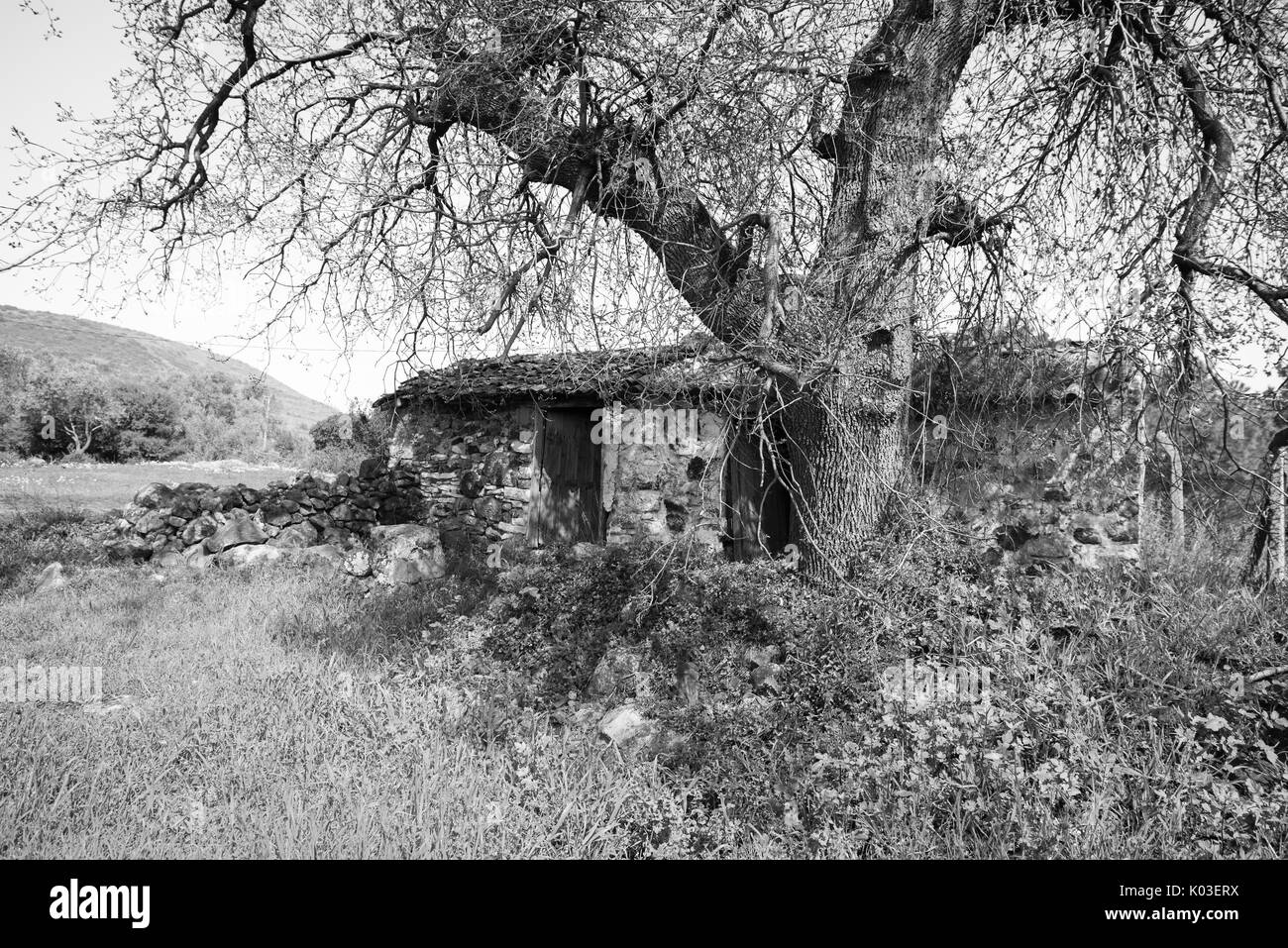 Black and white photo of old rural stone house Stock Photo - Alamy