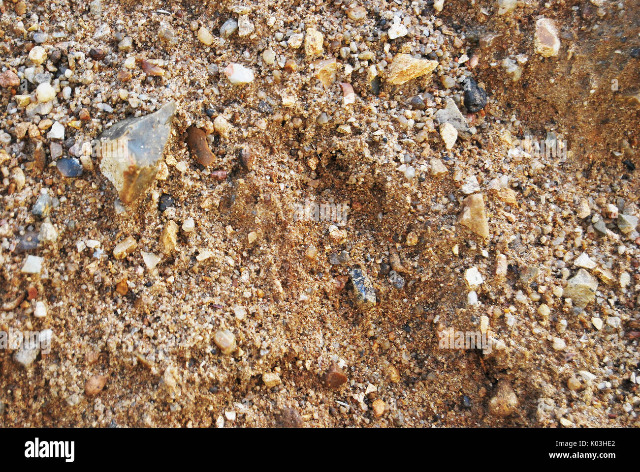 Texture of wet sand with small stones Stock Photo - Alamy
