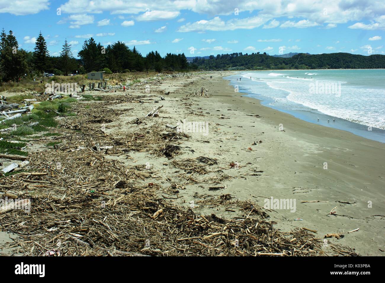 New zealand tolaga bay hi-res stock photography and images - Alamy