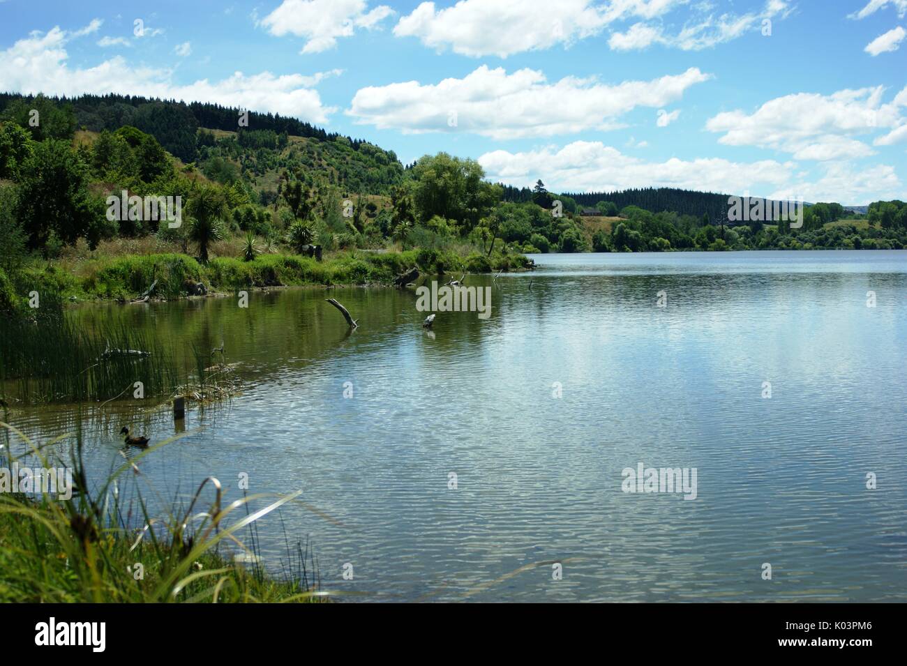 Tutira hi-res stock photography and images - Alamy