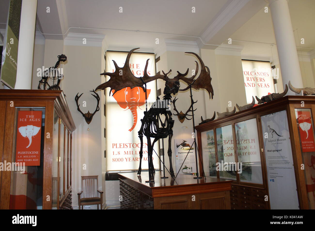 Ice age animals museum hi-res stock photography and images - Alamy
