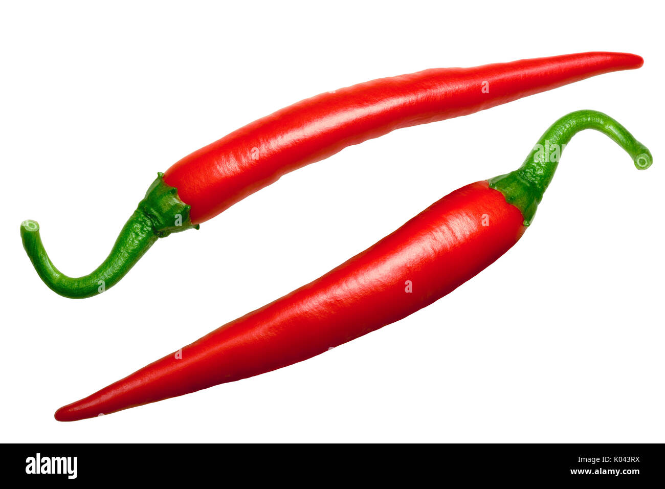 Long thin ripe chile peppers, generic (Capsicum annuum). Clipping path ...