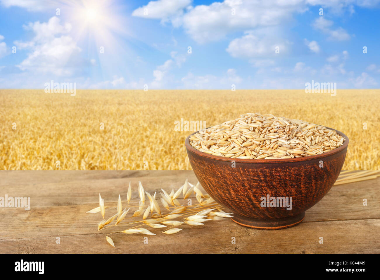 ears of oats and oat grains in bowl on wooden table with field on the ...