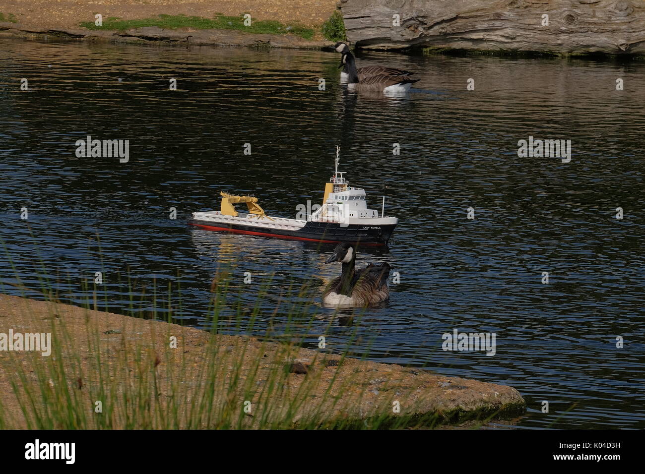 radio controlled ship on pond Stock Photo - Alamy