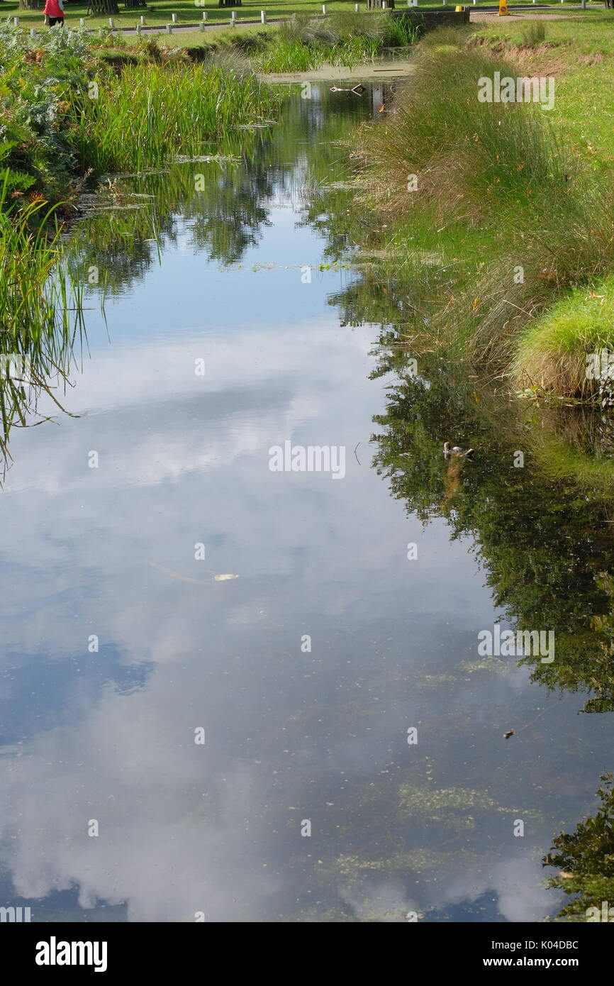reflections in the river Stock Photo - Alamy