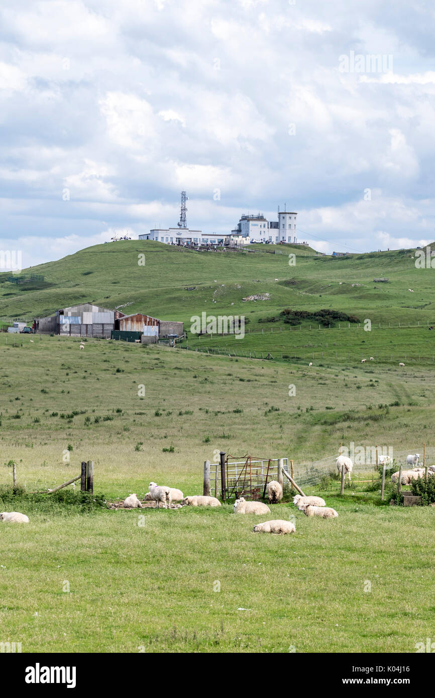 Parc farm hi-res stock photography and images - Alamy