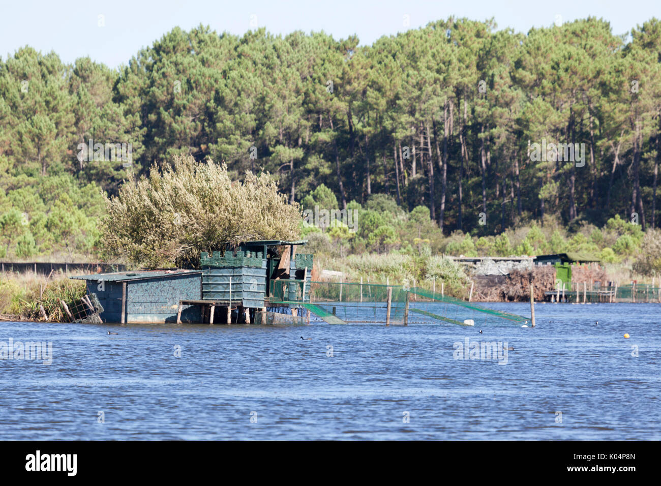 In Summer, a duck hunting hut on the Pond of Hardy, at Seignosse ...