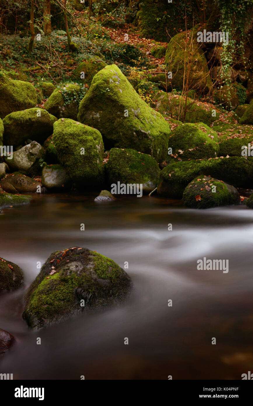Peaceful scene at Shaugh Prior in Devon Stock Photo - Alamy