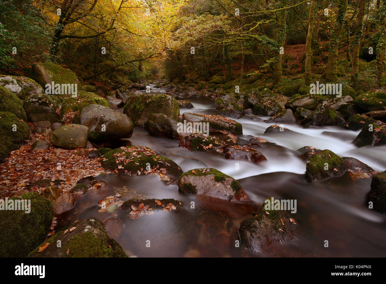 Peaceful scene at Shaugh Prior in Devon Stock Photo - Alamy