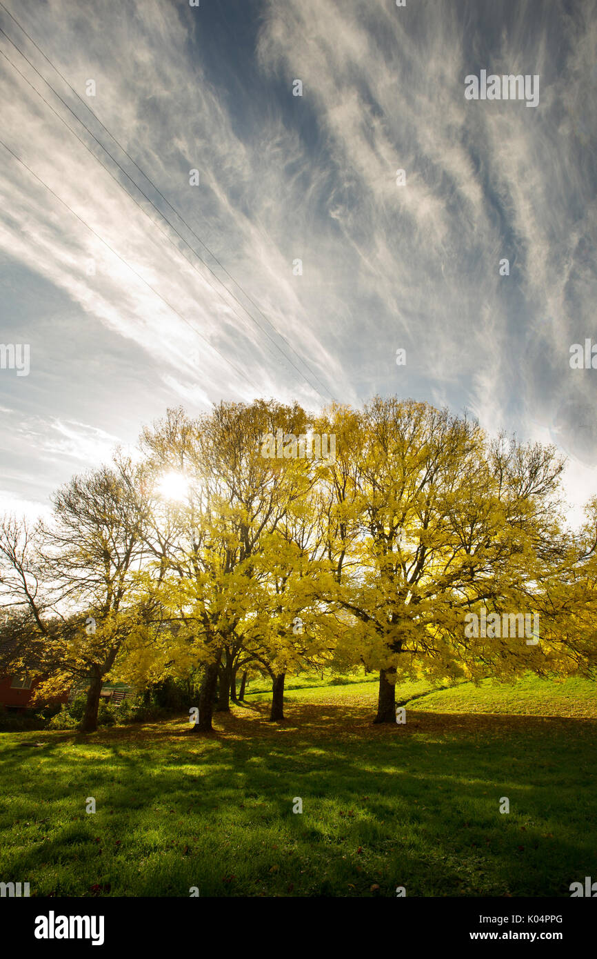 Autumn scene in Plymouth, Devon Stock Photo - Alamy