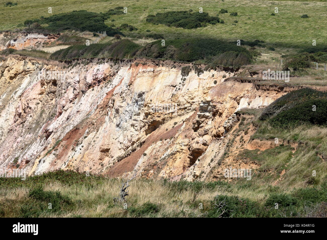 Dramatic landslips on the unstable cliffs of the Jurassic Coastline at ...