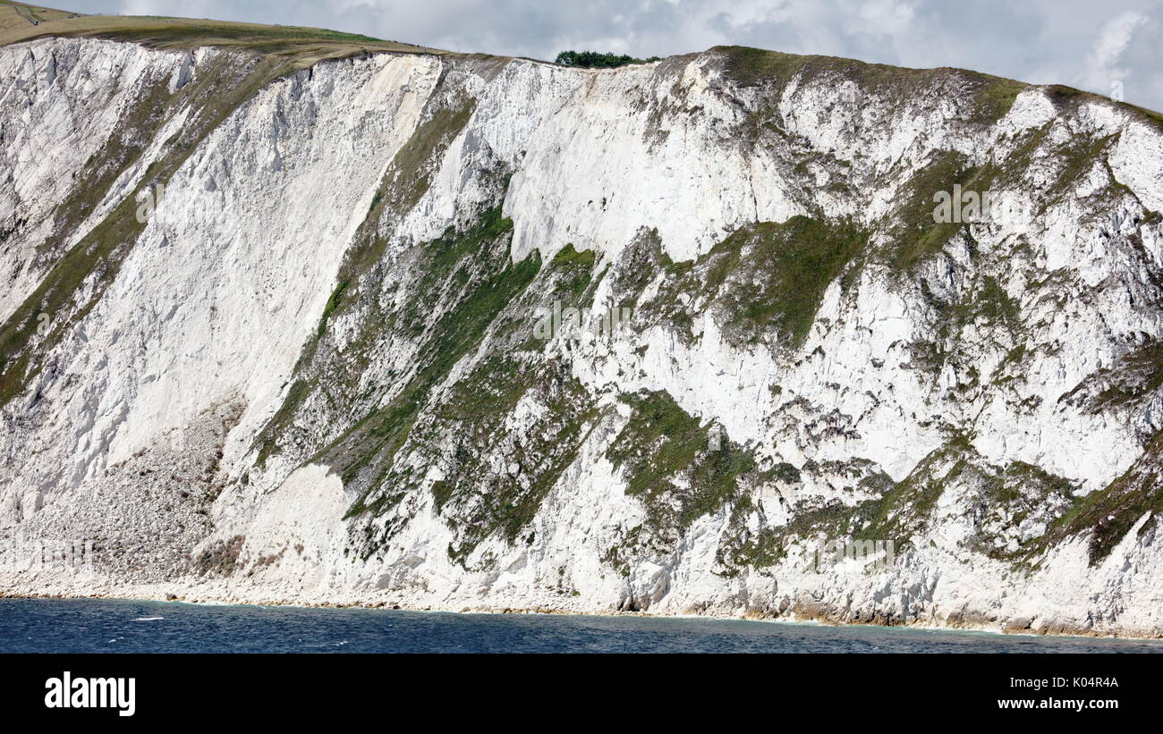 Crumbling chalk cliff face with well-established sea eroded talus cone ...