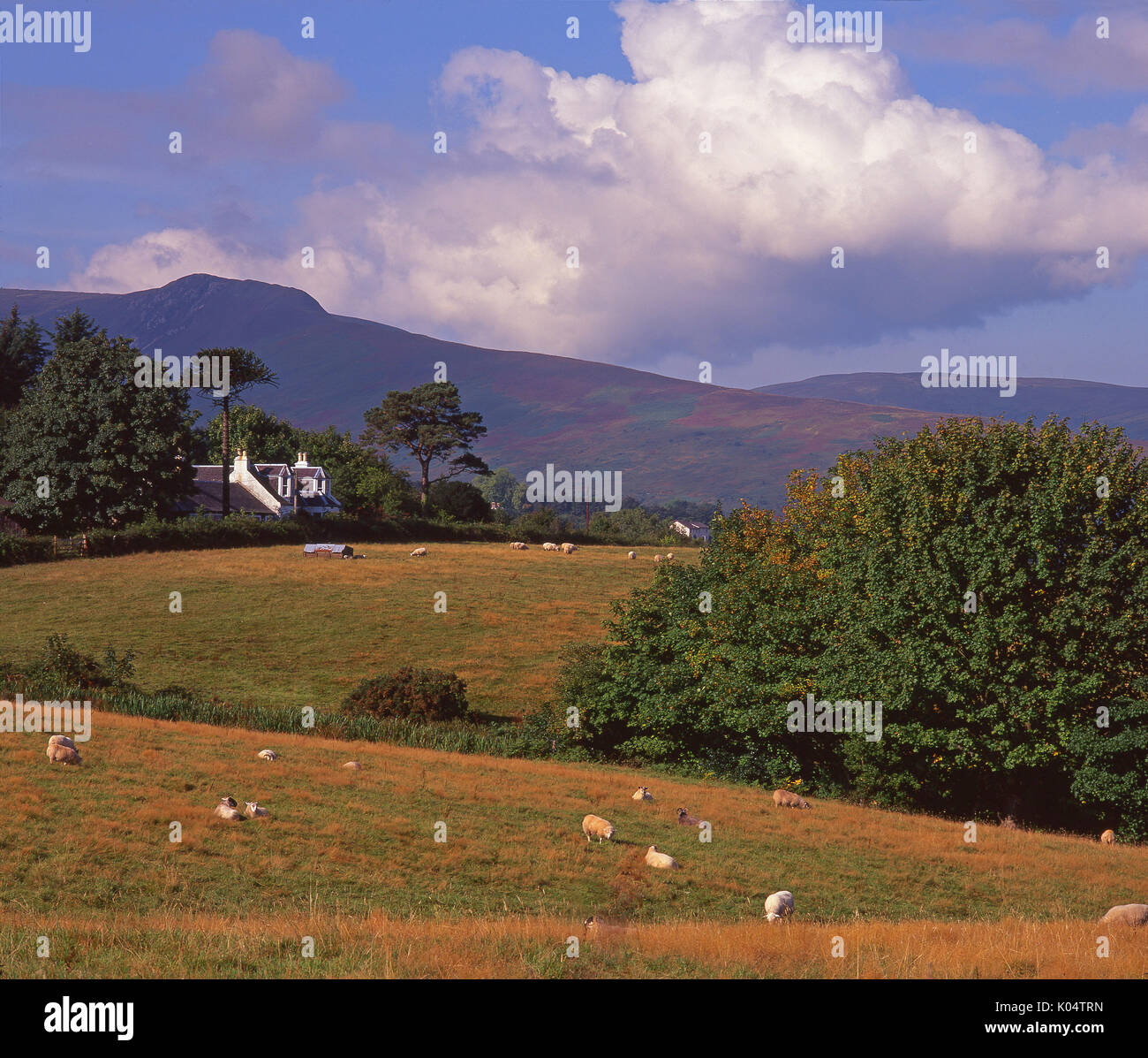 Early autumn view of the Arran countryside seen on the higher slopes ...