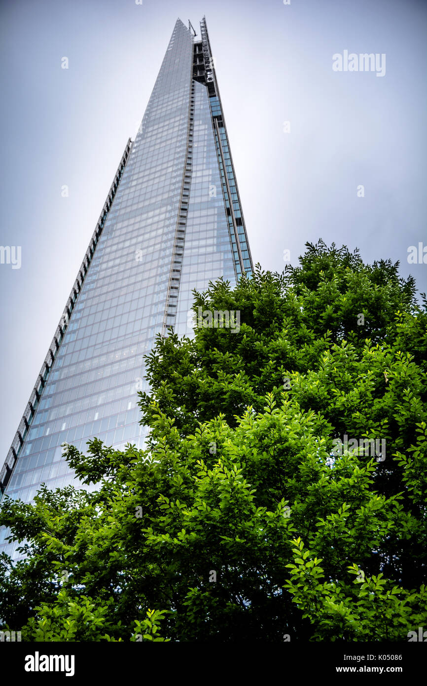 London skyscraper and tree Stock Photo - Alamy